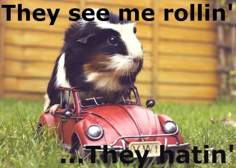 What is a ‘rolling basis’ and why do I care? – Apply.Shine.Win